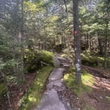 Burroughs Range Trail (Wittenberg, Cornell, Slide Trail), New York ...
