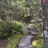 Burroughs Range Trail (Wittenberg, Cornell, Slide Trail), New York ...