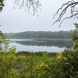 Bower Lake Trail, Manitoba, Canada - 31 Reviews, Map | AllTrails