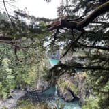 Natural Bridges Viewpoint Trail, Oregon - 586 Reviews, Map | AllTrails
