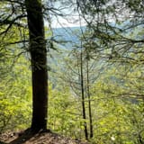 Tioga West Rim Trail, Pennsylvania - 482 Reviews, Map | AllTrails