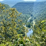 Tioga West Rim Trail, Pennsylvania - 482 Reviews, Map | AllTrails