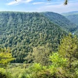 Tioga West Rim Trail, Pennsylvania - 551 Reviews, Map | AllTrails