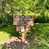 Tioga West Rim Trail, Pennsylvania - 551 Reviews, Map | AllTrails