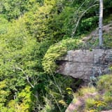 Tioga West Rim Trail, Pennsylvania - 551 Reviews, Map | AllTrails