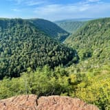 Tioga West Rim Trail, Pennsylvania - 551 Reviews, Map | AllTrails