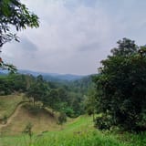 Kemensah - Bukit Pau Peak, Selangor, Malaysia - 130 Reviews, Map ...