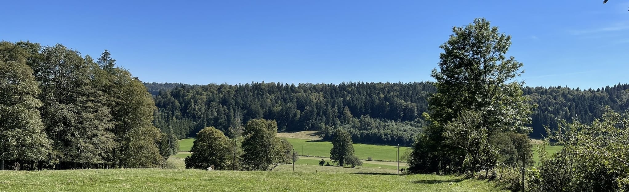 Le Noirmont - Le Pré-Petitjean, Jura, Switzerland - Map, Guide | AllTrails