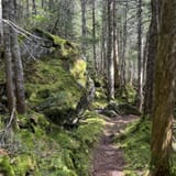 The Northern Presidentials via Appalachian Trail, New Hampshire - 73 ...