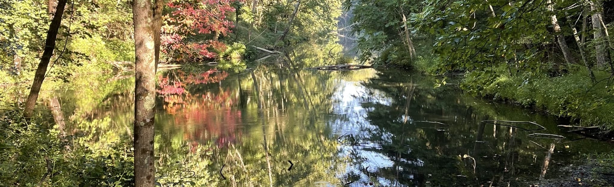 AEP Fallon Park Loop, Ohio - 74 Reviews, Map | AllTrails