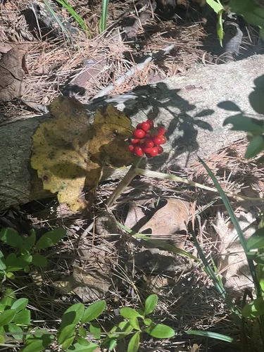 Best Hikes and Trails in French Lick | AllTrails