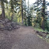 Discovery Point Trail, Oregon - 1,548 Reviews, Map | AllTrails