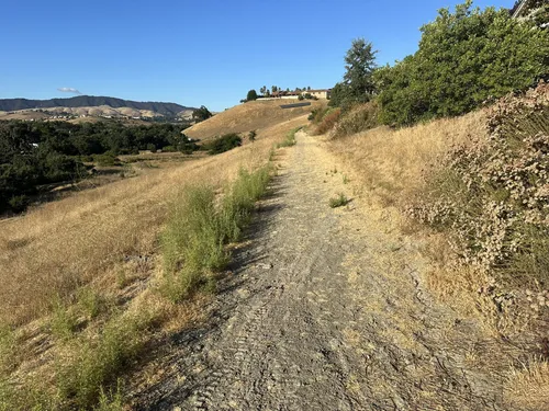 2023 Best River Trails in San Ramon | AllTrails