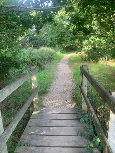 Best Hikes and Trails in Hook with Warsash Local Nature Reserve | AllTrails
