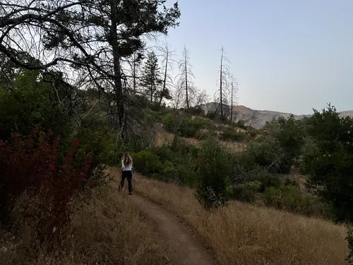 2023 Best Hard Trails in Trione-Annadel State Park | AllTrails