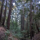 Bootjack Loop, California - 1,663 Reviews, Map | AllTrails