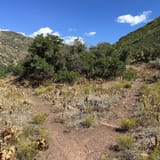 Red Butte Gardens Small Loop, Utah - 289 Reviews, Map | AllTrails