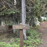 Hoffer Lakes Trail, Oregon - 95 Reviews, Map | AllTrails