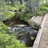 Hoffer Lakes Trail, Oregon - 75 Reviews, Map | AllTrails