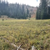 Hoffer Lakes Trail, Oregon - 95 Reviews, Map | AllTrails