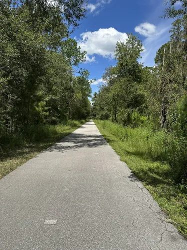 Best Hikes and Trails in Green Swamp Wildlife Management Area | AllTrails