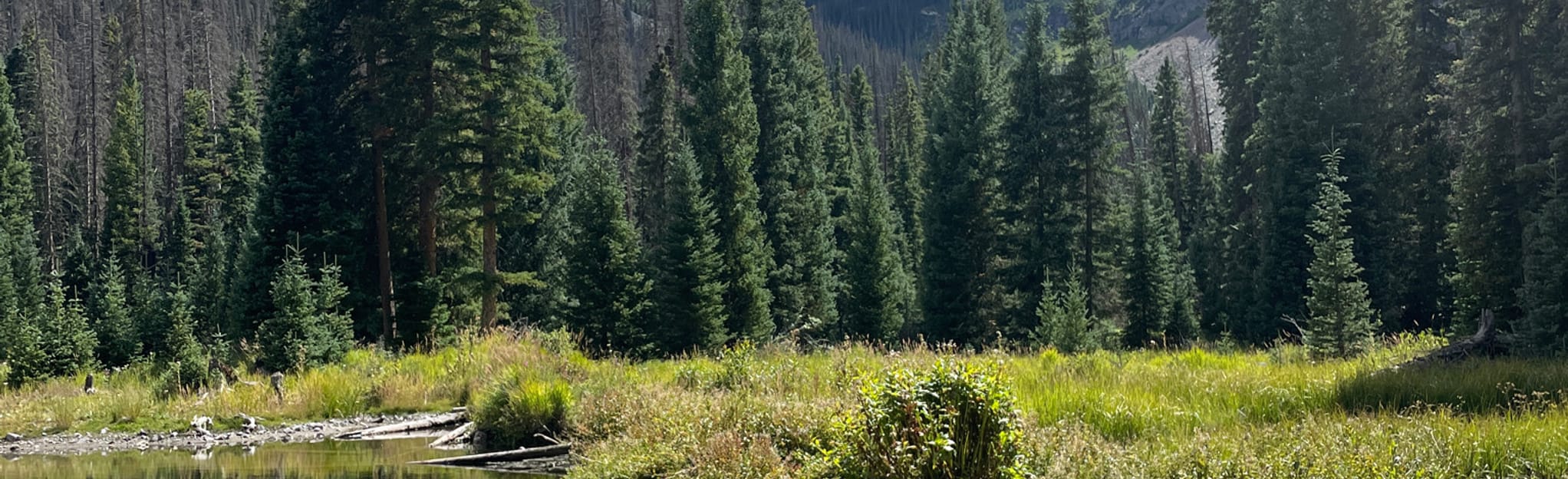 Elk Park Train Stop to Needleton, Colorado - 54 Reviews, Map | AllTrails