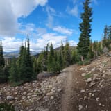 Mount Judah Loop Trail, California - 2,304 Reviews, Map | AllTrails
