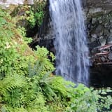 Racehorse Falls Trail, Washington - 433 Reviews, Map | AllTrails