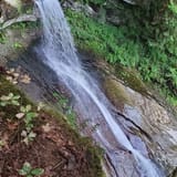 Racehorse Falls Trail, Washington - 433 Reviews, Map | AllTrails