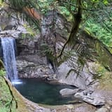 Racehorse Falls Trail, Washington - 433 Reviews, Map | AllTrails