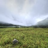 Carter Lake Trail, Alaska - 368 Reviews, Map | AllTrails