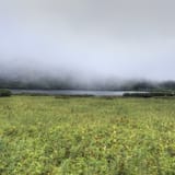 Carter Lake Trail, Alaska - 368 Reviews, Map | AllTrails