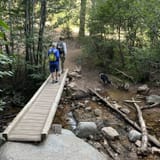 Chamisa Trail, New Mexico - 1,174 Reviews, Map | AllTrails