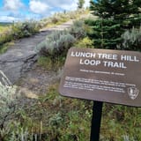 Lunch Tree Hill Trail, Wyoming - 361 Reviews, Map | AllTrails