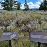 Lunch Tree Hill Trail, Wyoming - 361 Reviews, Map | AllTrails
