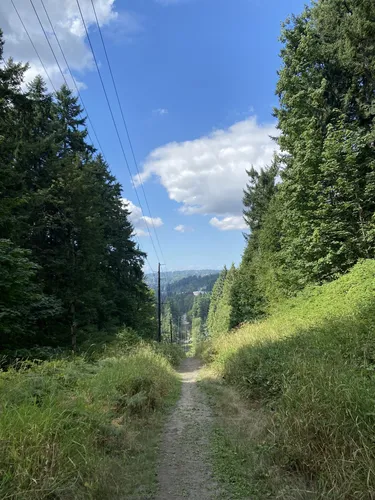 Best Hikes and Trails in Bothell | AllTrails