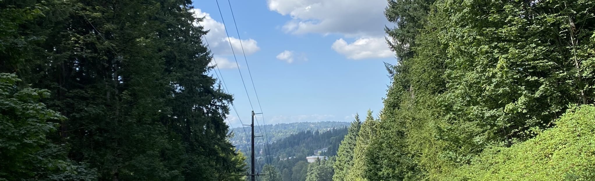 Blyth Park Trail, Washington - 130 Reviews, Map | AllTrails