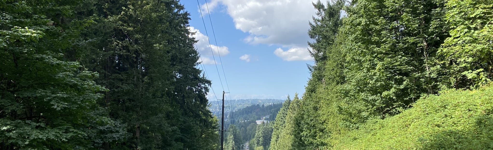Blyth Park from 105th Avenue NE, Washington - 62 Reviews, Map | AllTrails