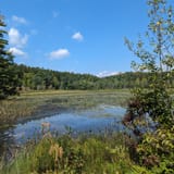 Hudson Pointe Nature Preserve, New York - 710 Reviews, Map | AllTrails
