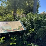 Red Butte Gardens Small Loop, Utah - 218 Reviews, Map | AllTrails
