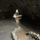 Maquoketa Caves Loop, Iowa - 804 Reviews, Map | AllTrails