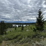 String Lake Trail, Wyoming - 1,939 Reviews, Map | AllTrails