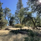 Metate Trail, California - 240 Reviews, Map | AllTrails