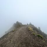 Dunraven Pass to Mount Washburn, Montana - 1,443 Reviews, Map | AllTrails