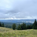 Dunraven Pass to Mount Washburn, Montana - 1,443 Reviews, Map | AllTrails