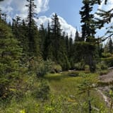 Flower Ridge, British Columbia, Canada - 216 Reviews, Map | AllTrails