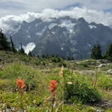 Flower Ridge, British Columbia, Canada - 169 Reviews, Map | AllTrails