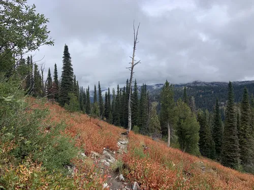 Best Camping Trails in Pollock | AllTrails