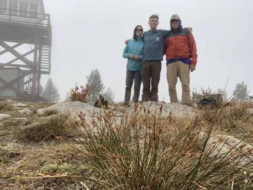 Best Forest Trails in Pollock | AllTrails