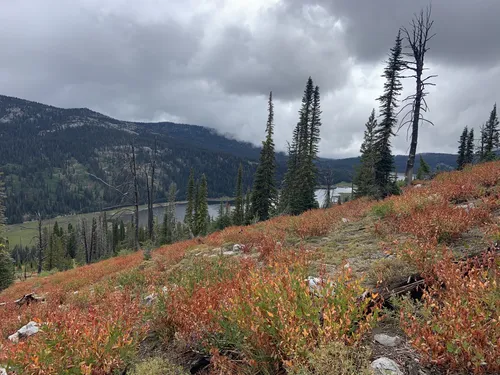 Best Camping Trails in Pollock | AllTrails